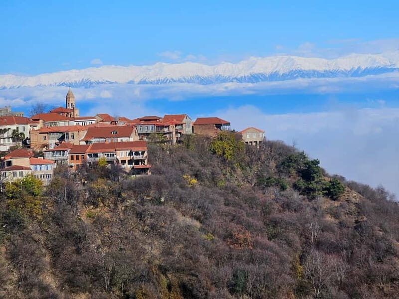One-day tour in Kakheti with a guide and free wine tasting - Who Will Love This Tour?