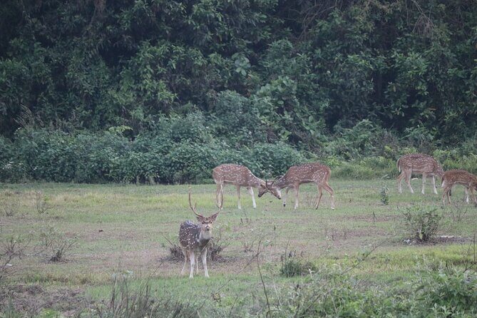 One Day Tour inside Chitwan National Park - FAQ about the Chitwan National Park Day Tour