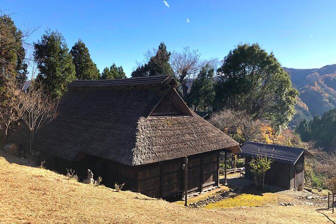 One Day Tour of Tokyo's Plentiful Nature in Hinohara Village - Introduction