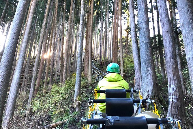 One Day Tour of Tokyo's Plentiful Nature in Hinohara Village - Key Points