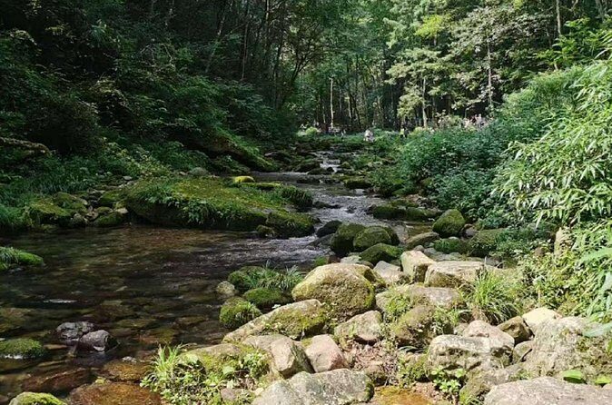 One day tour of Zhangjiajie National Forest Park - FAQs