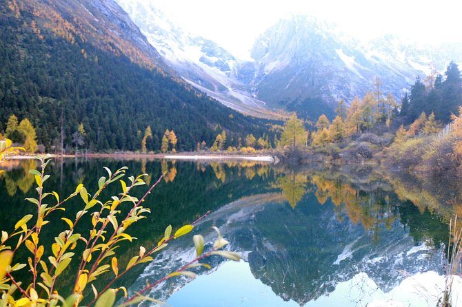 One Day Tour to Bipenggou - Key Points