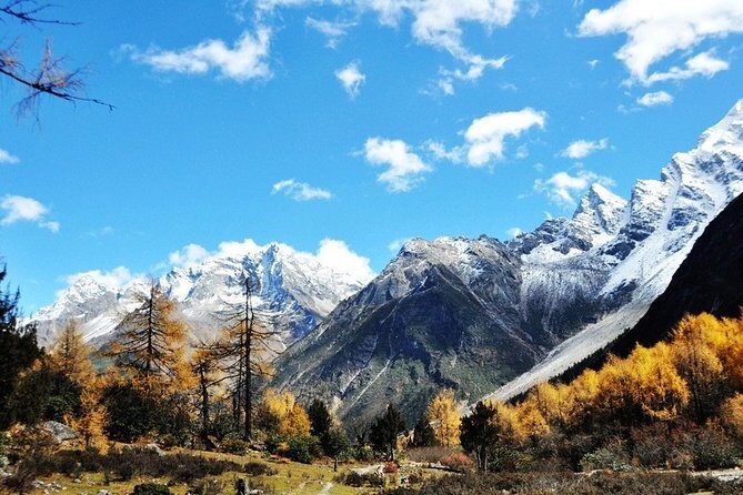 One Day Tour to Bipenggou - An In-Depth Look at the Tour Experience