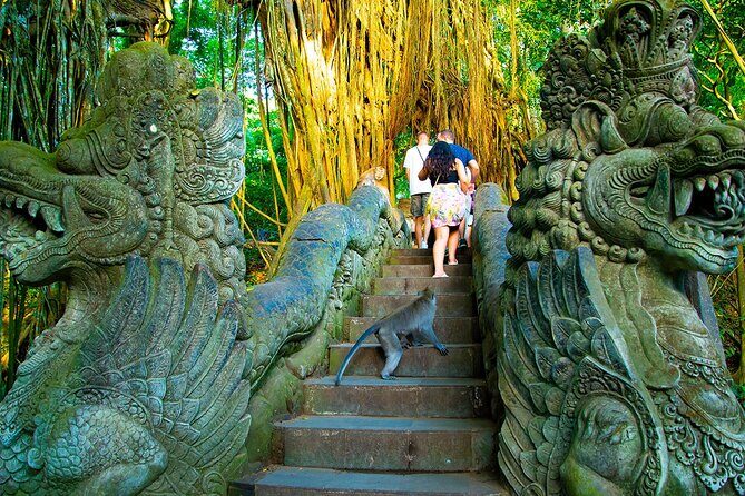One Day Tour Ubud With Private Guide - An In-Depth Look at the Ubud Private Tour
