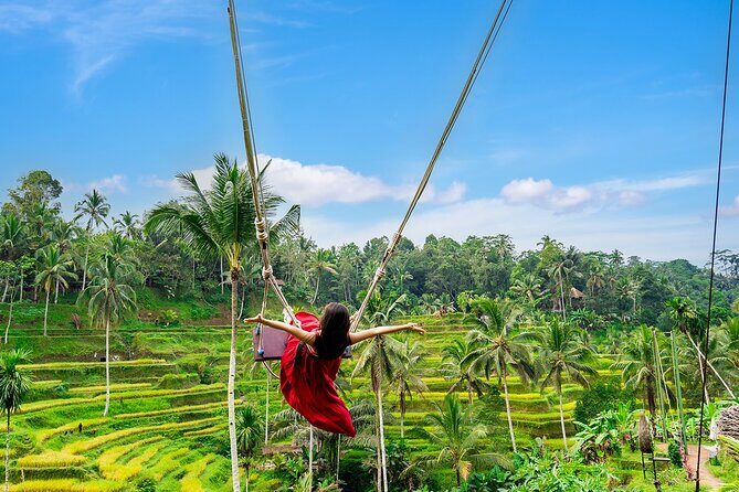 One Day Tour Ubud With Private Guide - Who Will Love This Tour?