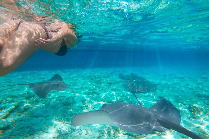 One Day Tours Komodo - Padar Island - Final Thoughts: Who Is This Tour Best For?