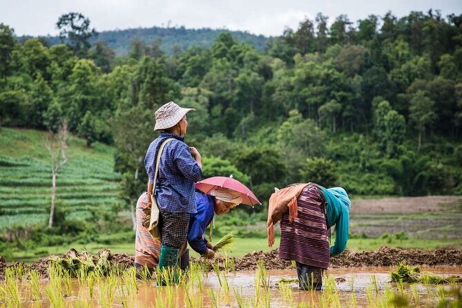 One Day Trekking & Bamboo rafting at Mae wang - FAQ