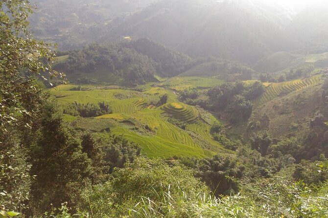 One day Trekking in Sapa and Muong Hoa Valley with local guide - The Sum Up