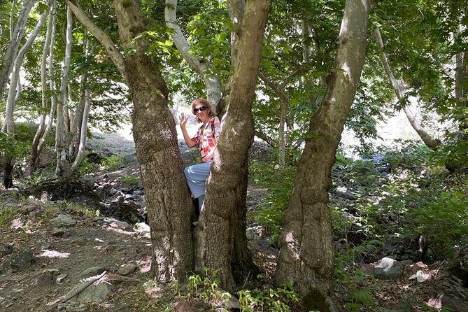 One-Day Trekking to Gusgarf Waterfall - The Sum Up