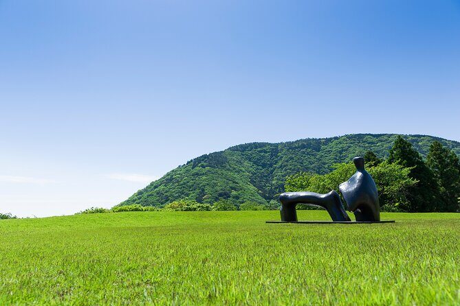 One day trip to Hakone from Tokyo with English speaking Driver - Who Should Consider This Tour?