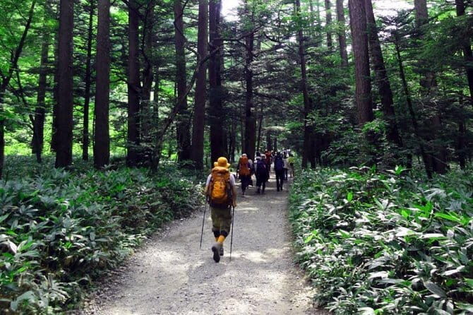 One Day Trip to Kamikochi& Hida With Lunch From Nagoya - Final Words