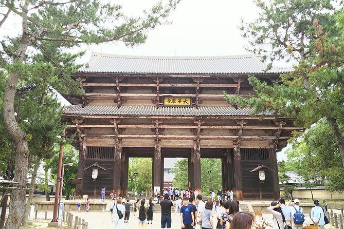 One-Day Walking Tour of Amazing 8th Century Capital Nara - Introduction