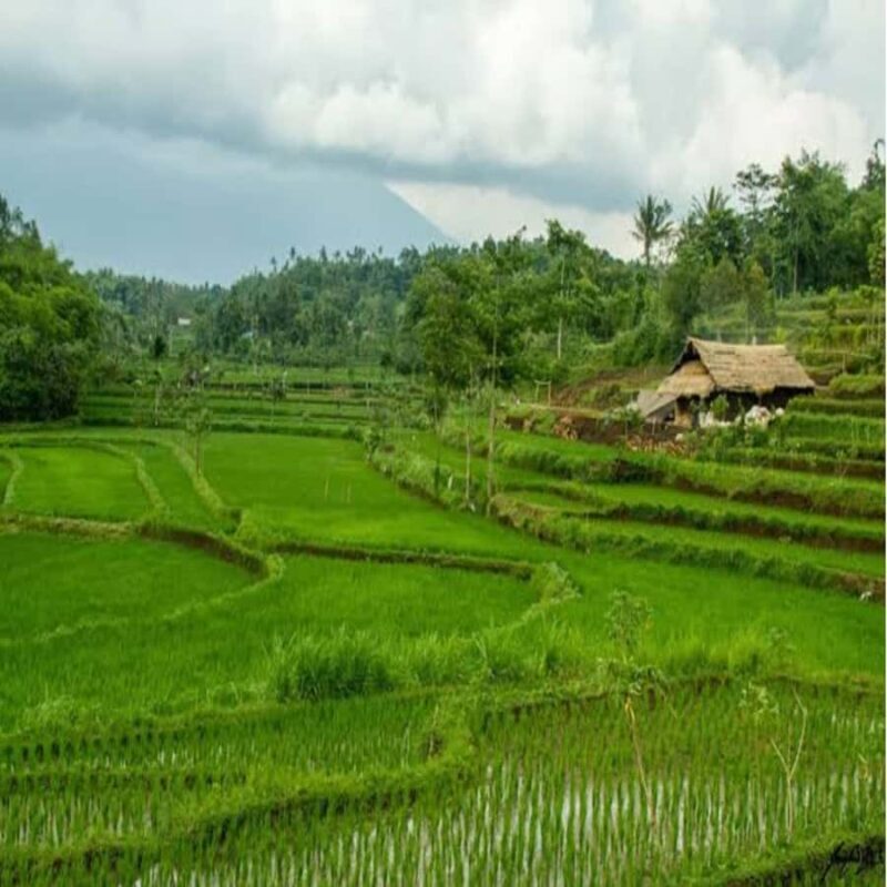 One Days Tours Panorama Walk Around Senaru Village - An In-Depth Look at the Senaru Panorama Walk