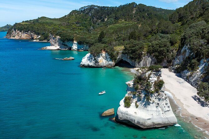 One Hour Cathedral Cove Boat Tour in Hahei - A Detailed Look at the Cathedral Cove Boat Tour