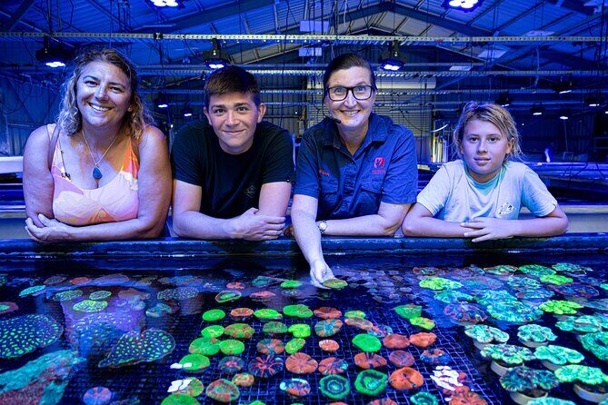 One Hour Coral Farm Tour, Discover Australia's Marine Life - A Closer Look at the Coral Farm Experience