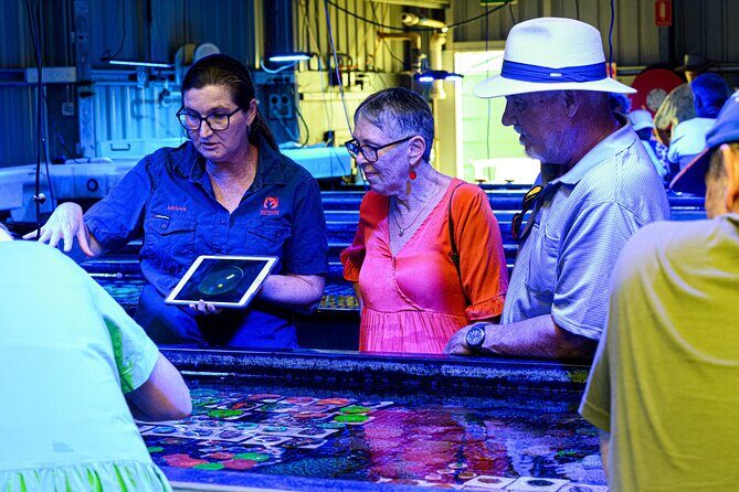 One Hour Coral Farm Tour, Discover Australia's Marine Life - FAQ