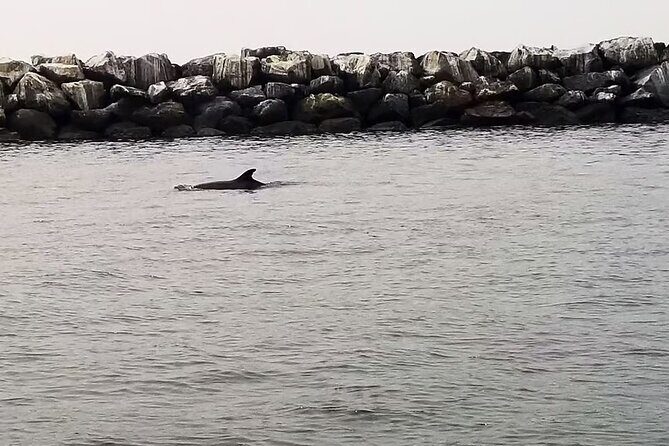 One Hour Cruise Around Marina del Rey - FAQ