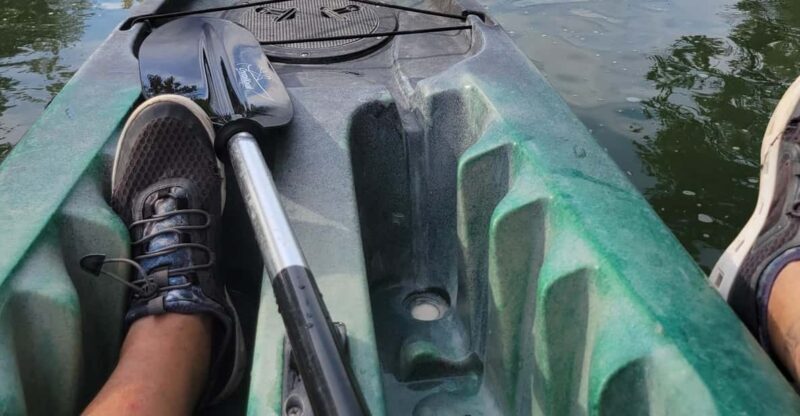One Hour Daytime Kayak Adventure for single person - Practical Aspects: Logistics, Cost, and Value