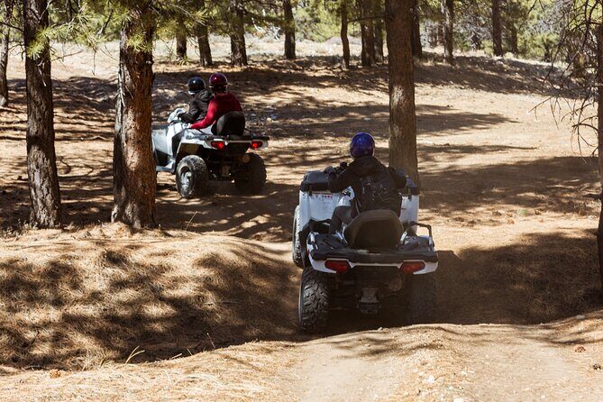 One Hour Guided ATV Ride in Utah - Pricing and Value Considerations