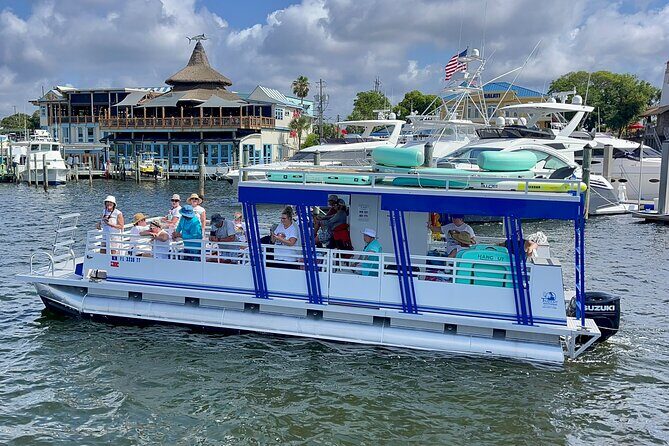 One Hour Harbor Shared Tour with Dolphin Watching - Frequently Asked Questions