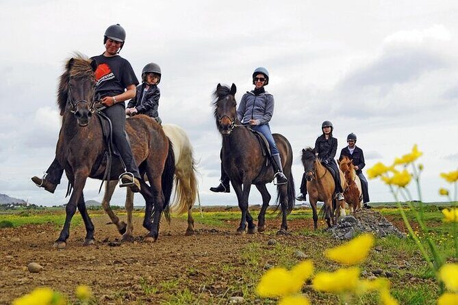 One-Hour Horseback Riding Tour in the Icelandic Countryside - Key Points