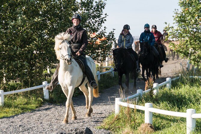 One-Hour Horseback Riding Tour in the Icelandic Countryside - The Bottom Line