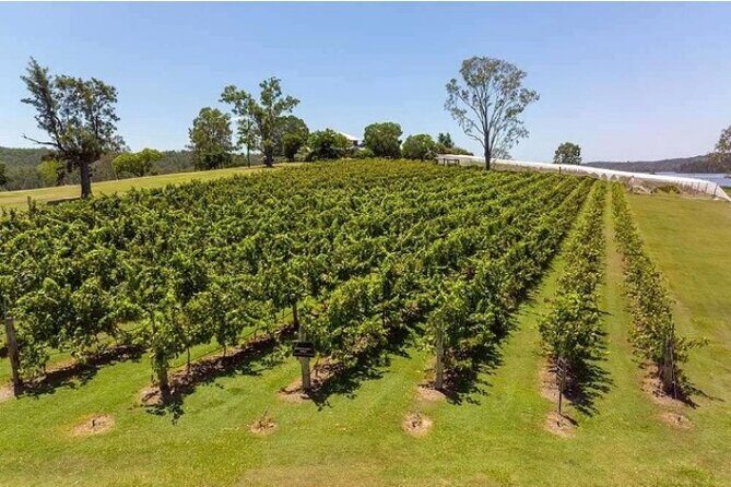 One Hump Camel Farm and Wine Tour - Who Will Love This Tour?