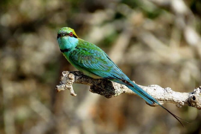 One Night Camping in Kumana National Park - An In-Depth Look at the Experience