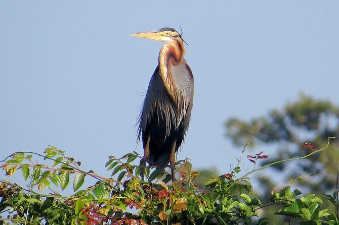 One Night Camping in Kumana National Park - Who is this tour best suited for?