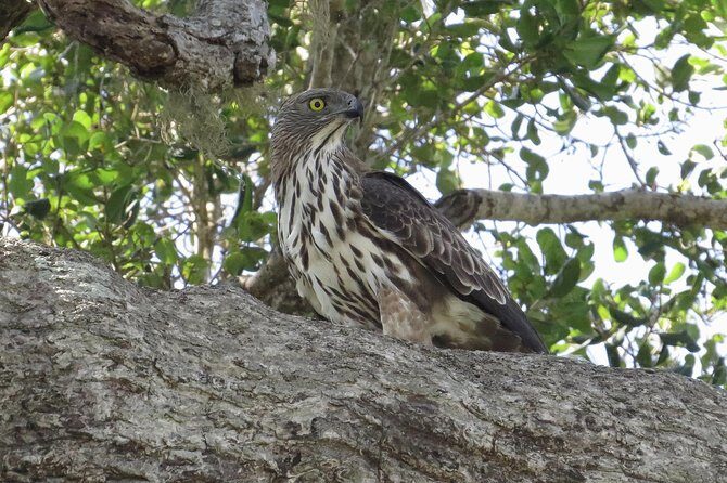 One Night Camping in Kumana National Park - Final Thoughts