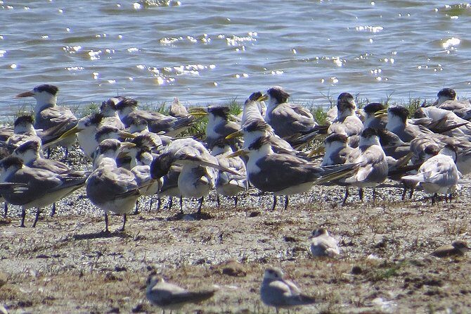 One Night Camping in Kumana National Park - FAQs