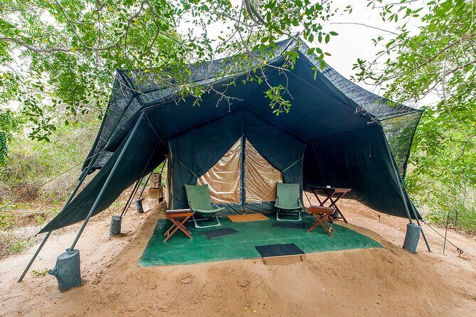 One Night Camping in Wilpattu National Park - Key Points