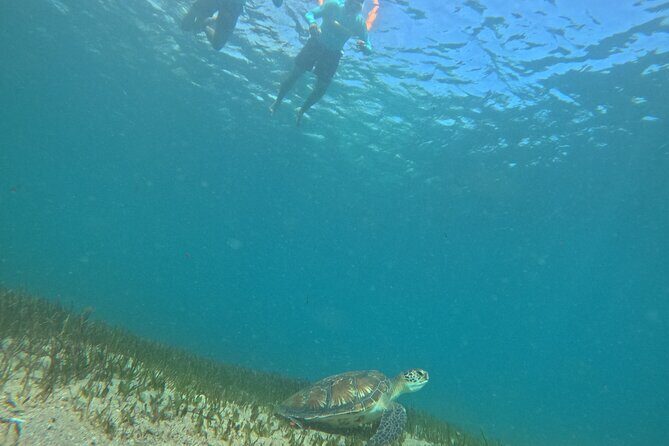 One on One Snorkel Experience - Who Should Book This Experience?