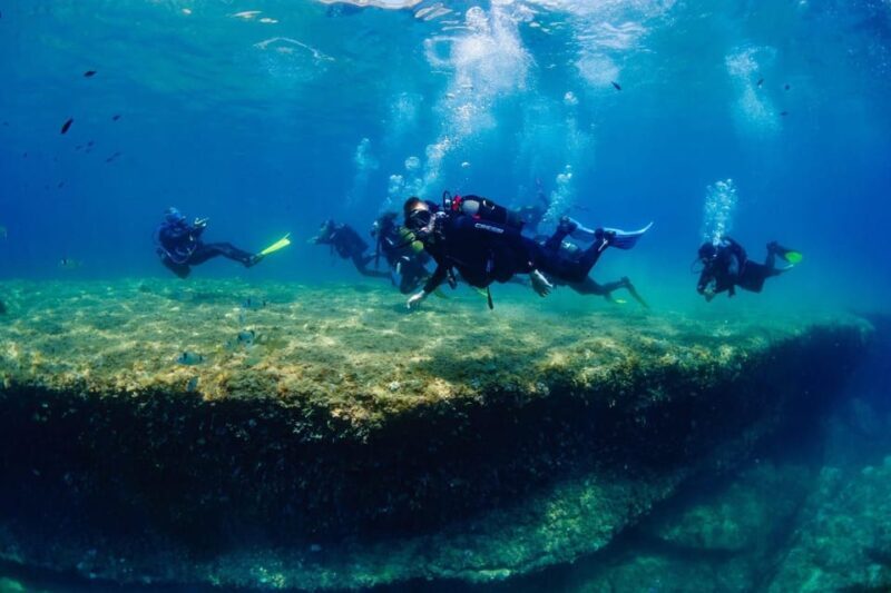 One Scuba Diving Day Trip to Costa Brava - The Value of the Price