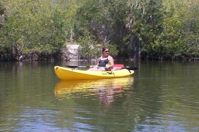 One Single Kayak Rental for 2 hours with Manatee & Dolphin sightings! - Key Points
