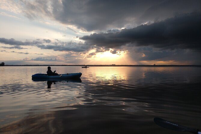 One Single Kayak Rental for 2 hours with Manatee & Dolphin sightings! - What We Love & What to Keep in Mind