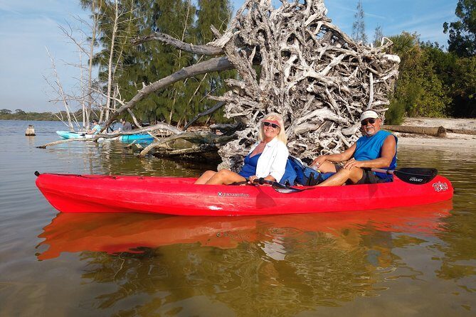 One Single Kayak Rental for 2 hours with Manatee & Dolphin sightings! - Final Reflection: Who Should Consider This Experience?