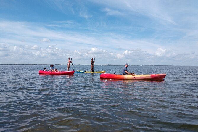 One Tandem Kayak Rental for 2 hours with Manatee & Dolphin sightings! - Authentic Encounters; Real Traveler Feedback