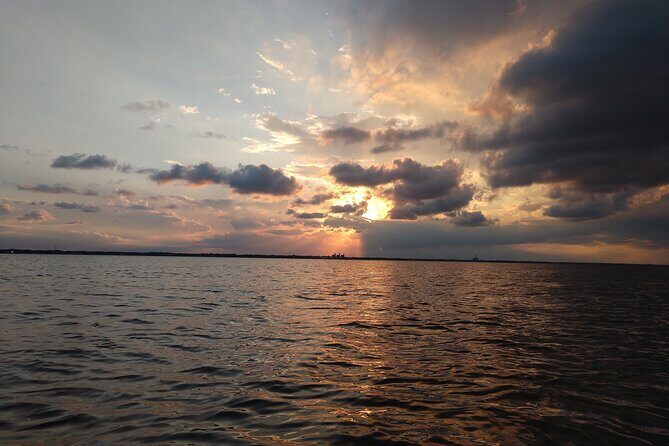 One Tandem Kayak Rental for 2 hours with Manatee & Dolphin sightings! - The Sum Up