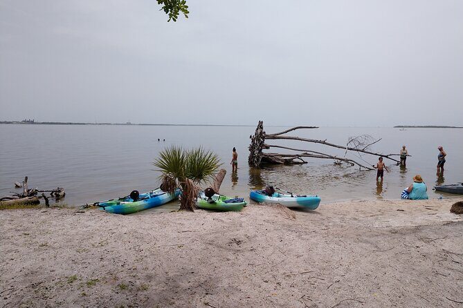 One Tandem Kayak Rental for 2 hours with Manatee & Dolphin sightings! - FAQs