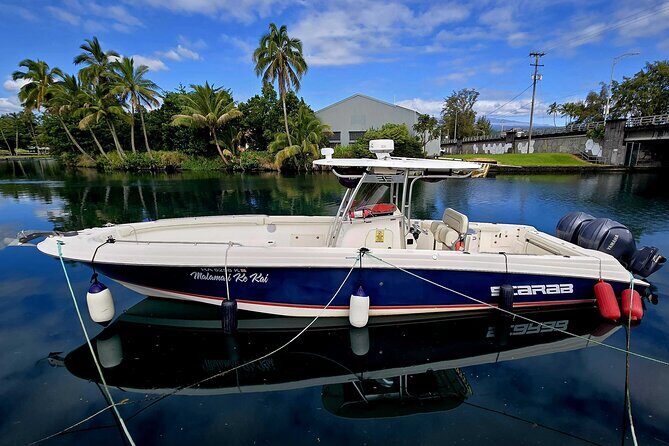 One Tank Boat Dive - Sea Turtles & Tropical Reef - Discovering the Underwater World of Hawaii’s East Coast