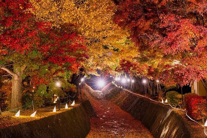 One Way Bus From Kawaguchiko to Hirayu - Arriving at Hirayu: What You’ll Find