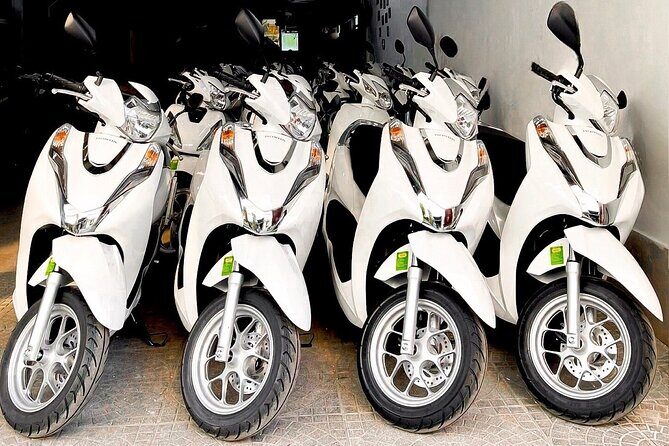 One way motorbike rental Phong Nha - Hue via Ho Chi Minh trails - Discovering the Ho Chi Minh Trails: A Motorbike Journey from Phong Nha to Hue