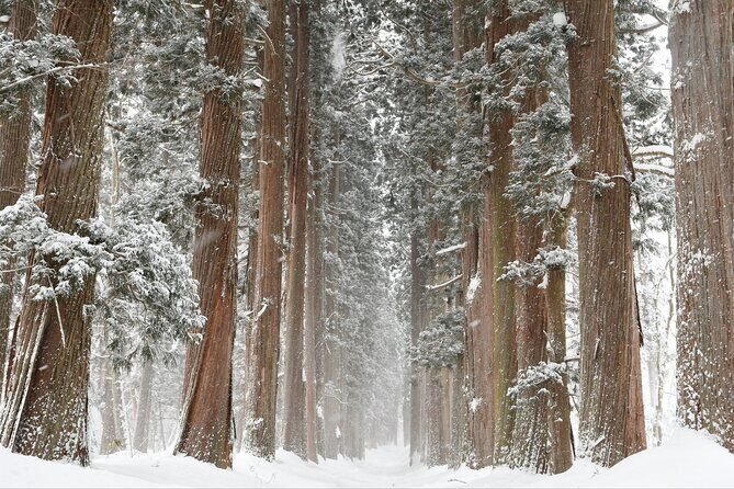 One Way Private Shuttle to Nagano Ski Centers - Final Thoughts