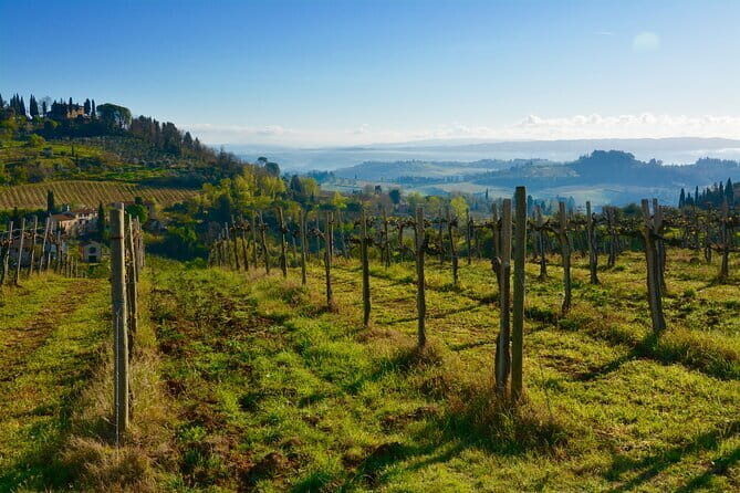 One Way Private Transfer: Florence to Rome with Visit to San Gimignano and Siena - Authentic Experience and Local Insights