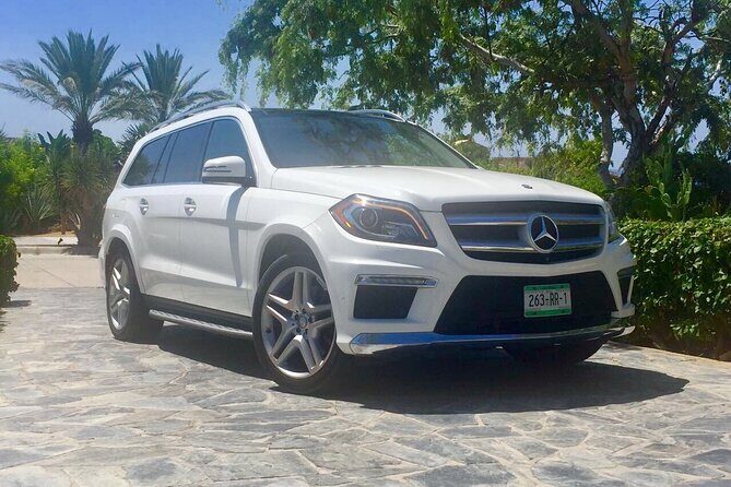 One way Private Transfer from Airport to San Jose Area - What You Can Expect at Los Cabos Airport