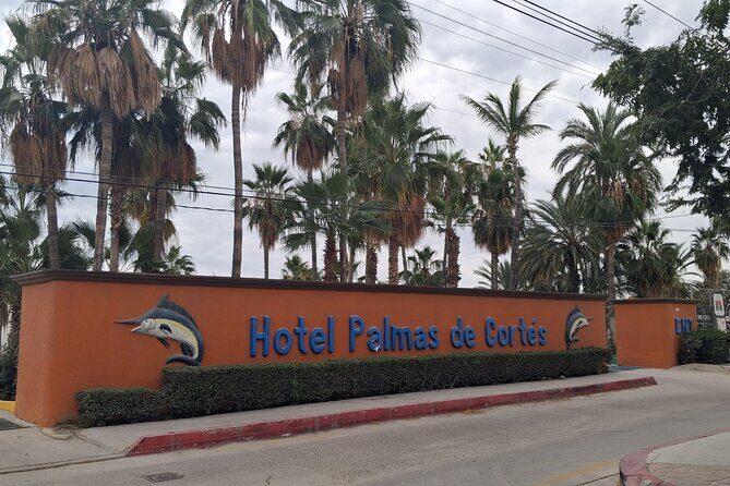 One Way Private Transfer Los Cabos Airport to Barrels BCS - What You Need to Know Before Booking