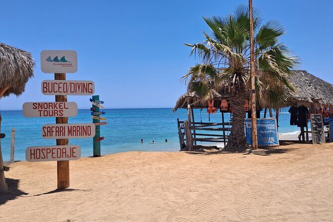 One Way Private Transfer Los Cabos Airport to Cabo Pulmo Park - Key Points