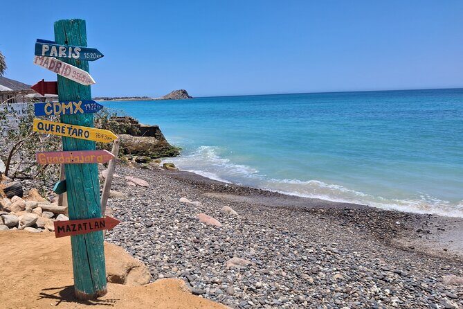 One Way Private Transfer Los Cabos Airport to Cabo Pulmo Park - Detailed Look at the Private Transfer Experience