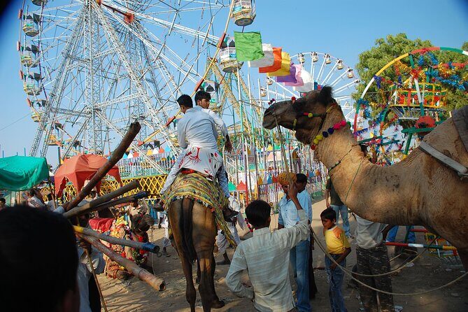 One Way Transfer From Jaipur To Pushkar in AC Vehicle - FAQs